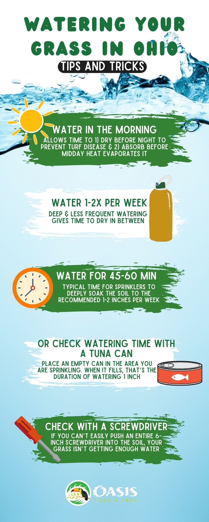 Best time of day to water lawn store